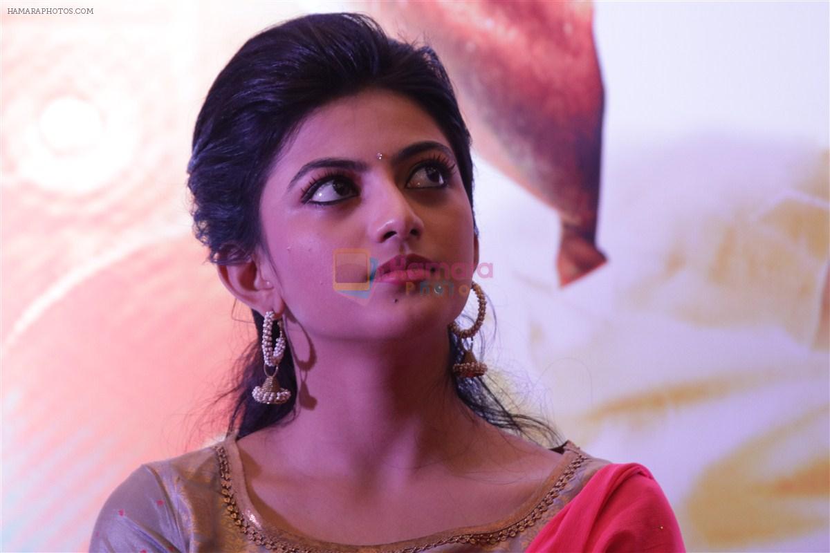 Anandhi Photoshoot / Anandhi - Bollywood Photos
